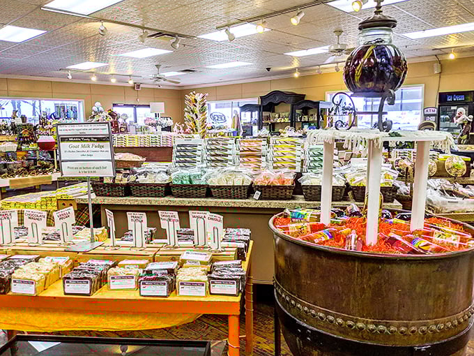 Candy paradise in full technicolor glory! Webb's displays are like edible art installations where every piece tells a delicious Florida story.