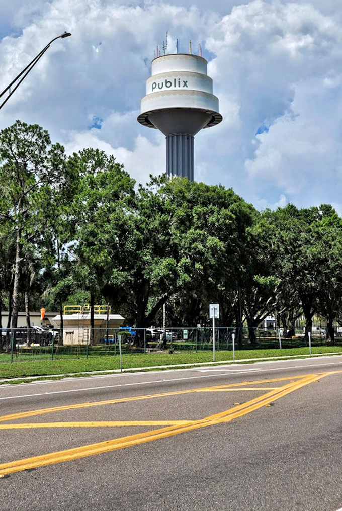 Nestled among Florida greenery, the cake tower appears like a surreal dessert mirage, making drivers do double-takes on their daily commute.