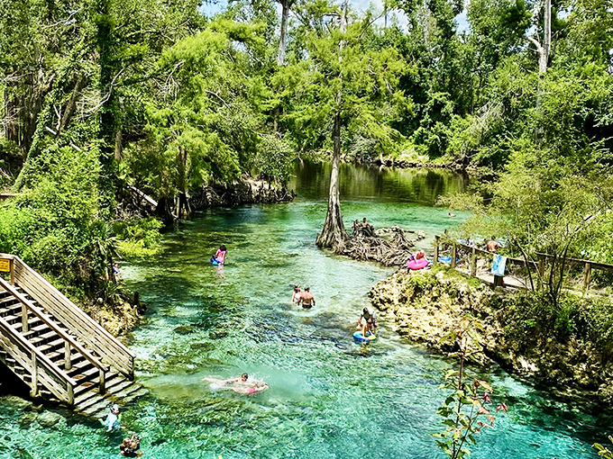 Summer joy in liquid form! Visitors cool off in the spring's perfect 72-degree waters while making memories that last a lifetime.