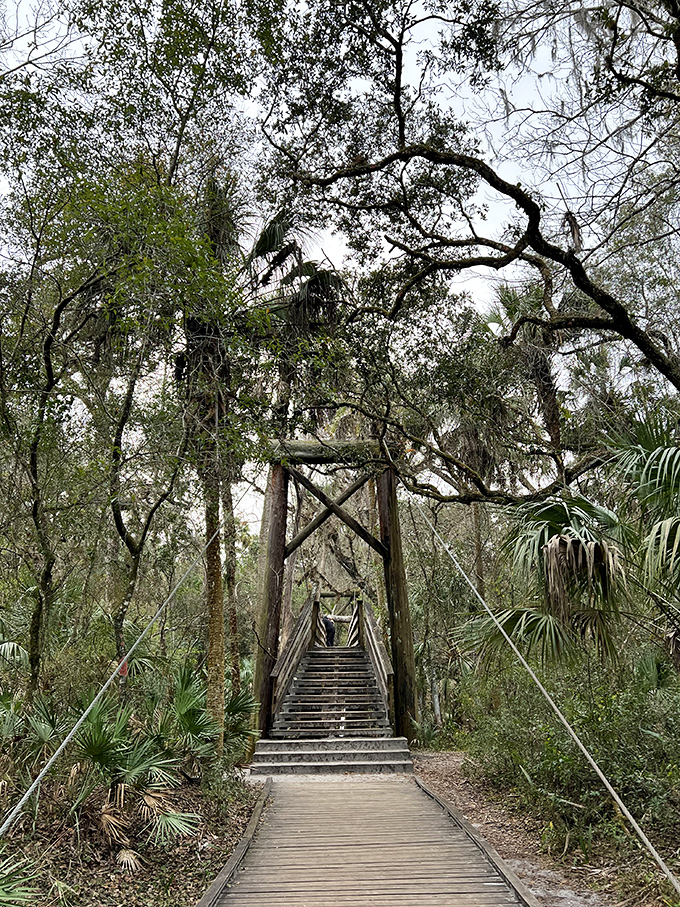 This wooden bridge isn't just crossing water, it's spanning time, connecting modern visitors to Florida's wild past.