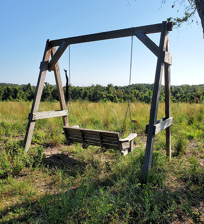 Nature's version of a theme park ride: this wooden swing offers thrills powered entirely by breeze and conversation, no height requirement necessary.