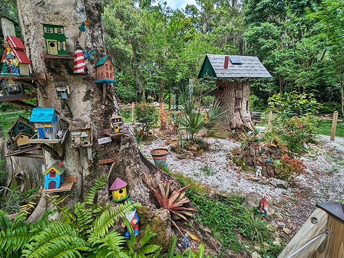 Colorful birdhouses and gnome homes transform this ancient tree at Dunlawton Sugar Mill Gardens into a multi-level fairy apartment complex.