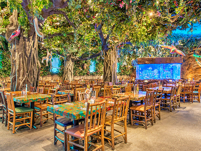 Lush greenery and mounted fish create the perfect tropical backdrop at Rainforest Cafe. Even the ceiling fans look like they belong in an exotic getaway!