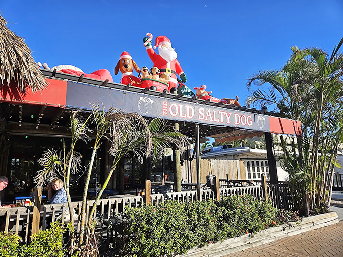 The Old Salty Dog's waterfront deck feels like dining on a ship, with panoramic views that make their famous seafood platters taste even better.