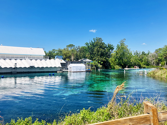 Enjoy the crystal-clear turquoise waters and legendary charm of Weeki Wachee Springs State Park. It is a true Florida treasure!
