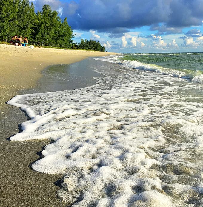 When the waves roll in with that perfect foamy edge, it's like the ocean is showing off just for you.