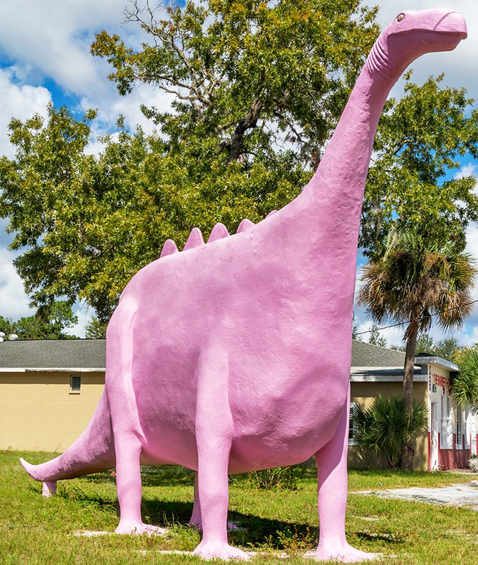 The dinosaur's gentle expression seems to say, "Yes, I'm pink. No, I don't need a reason."