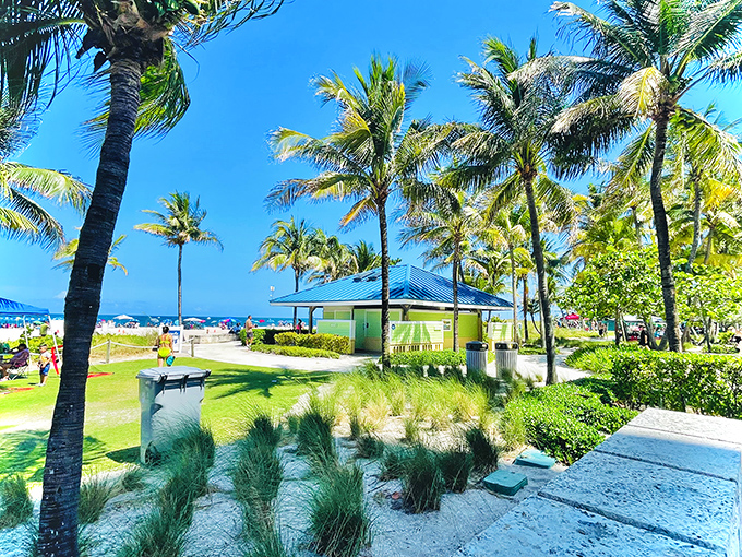 Beach Park offers pristine sands and swaying palms, creating nature's perfect playground where memories are made with every footprint.