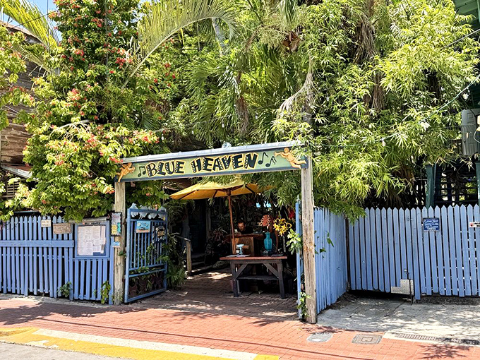 Blue Heaven's entrance promises exactly what it delivers &ndash; a slice of tropical paradise where roosters roam free and key lime pie reaches new heights.