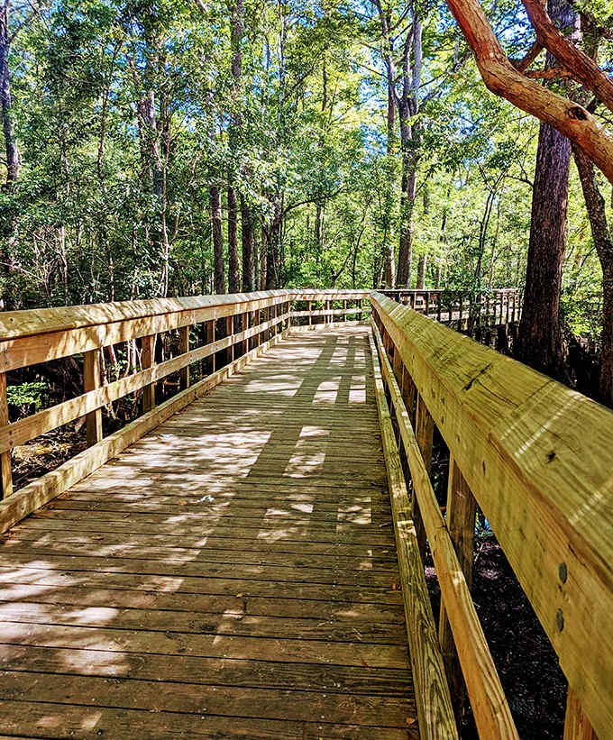This wooden boardwalk offers prime viewing opportunities for those who prefer to stay dry while still communing with nature's aquatic masterpiece.