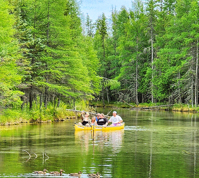 Family memories in the making! Canoeing through these pristine waters feels like gliding through liquid crystal while surrounded by Michigan's finest greenery.