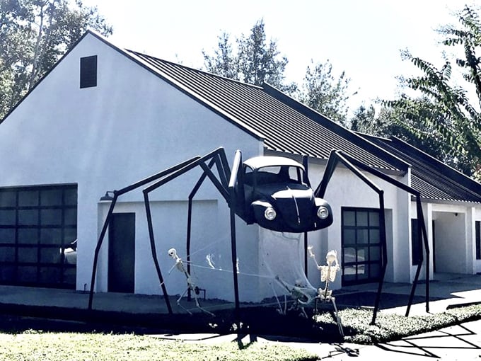 Halloween brings out the spider's spookier side, with skeleton decorations adding an extra layer of delightful macabre to the scene.