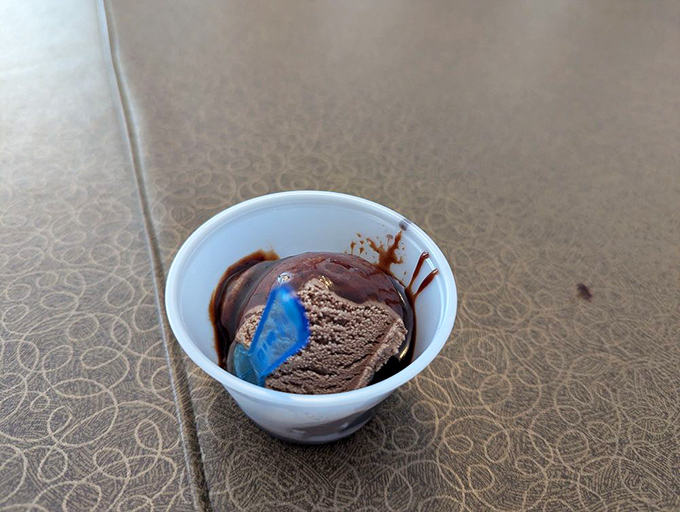 Rich chocolate ice cream with a surprising blue accent &ndash; proof that sometimes the simplest treats deliver the deepest satisfaction.