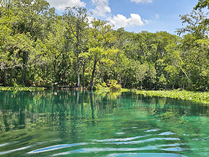 The kind of water clarity that makes you question if you're actually looking at air, where fish seem to float in nothing at all.