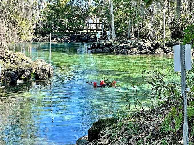 Shallow waters reveal nature's artwork &ndash; a mosaic of limestone, sand, and sunlight dancing beneath the surface.