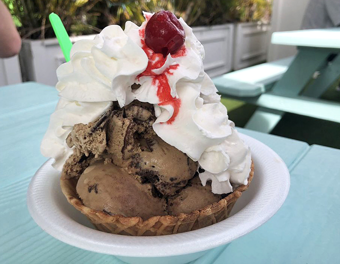 The Coffee Chip ice cream doesn't just hint at coffee flavor—it practically holds an intervention for your caffeine addiction while chocolate chunks provide moral support.