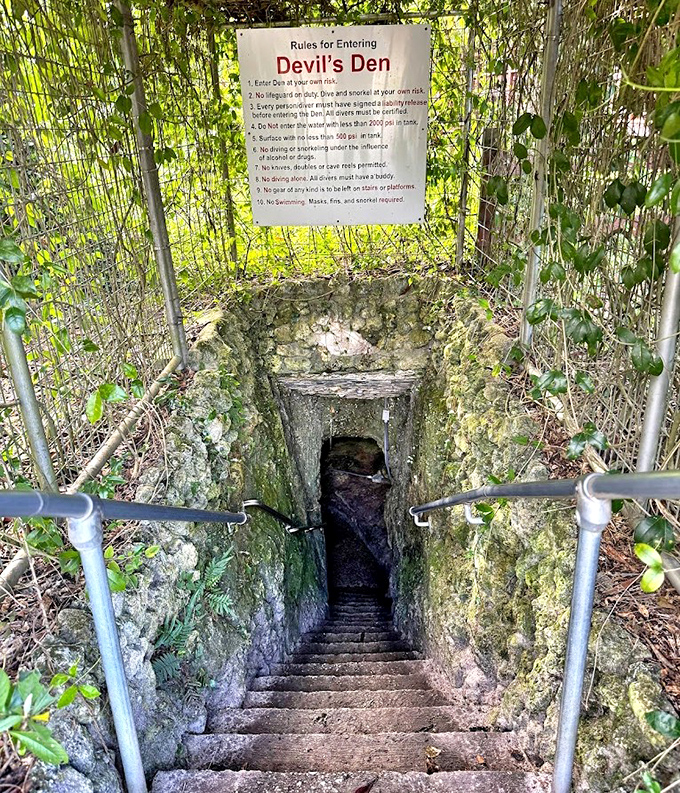 Entrance Stairway into Cavern: The narrow passage descends into darkness, promising underwater treasures that would make Neptune himself jealous.