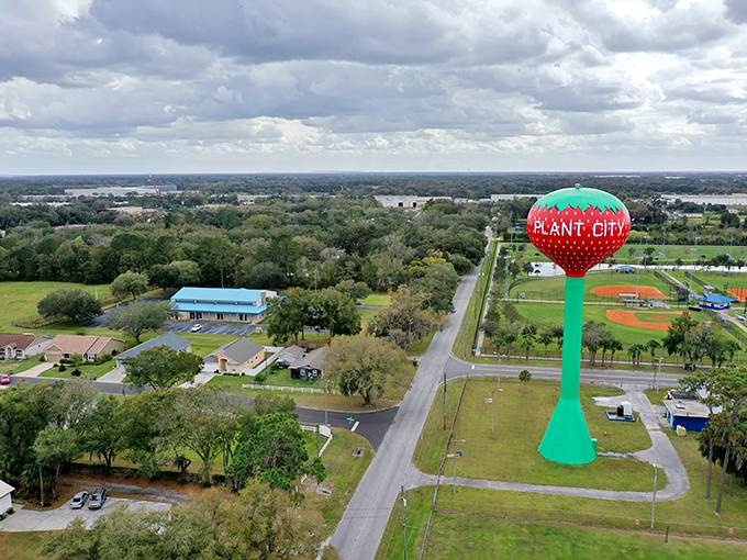"Is that really a giant strawberry?" Yes, yes it is &ndash; and it's as gloriously absurd in person as it sounds on paper.