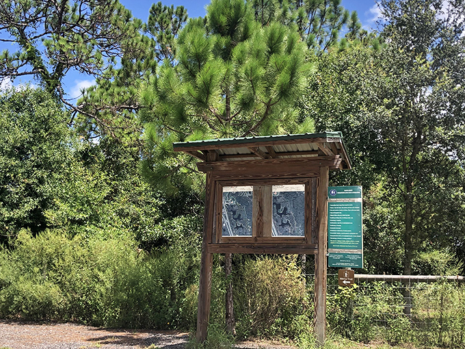 Knowledge is power, especially when it tells you which plants won't give you an embarrassing rash during your nature selfies.