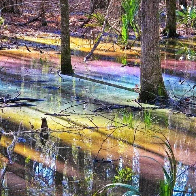 Mother Nature's mood ring on full display – who knew decay could create something so breathtakingly beautiful?
