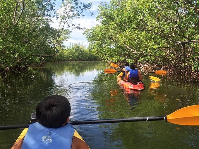 Explorers navigate the park's liquid labyrinth, where every turn reveals new wonders and possibly a raccoon plotting to steal your snacks.