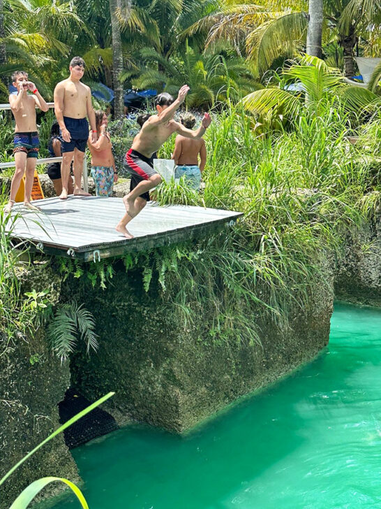 Florida’s Blue Lagoon Farm Is A Magical Tropical Paradise With ...