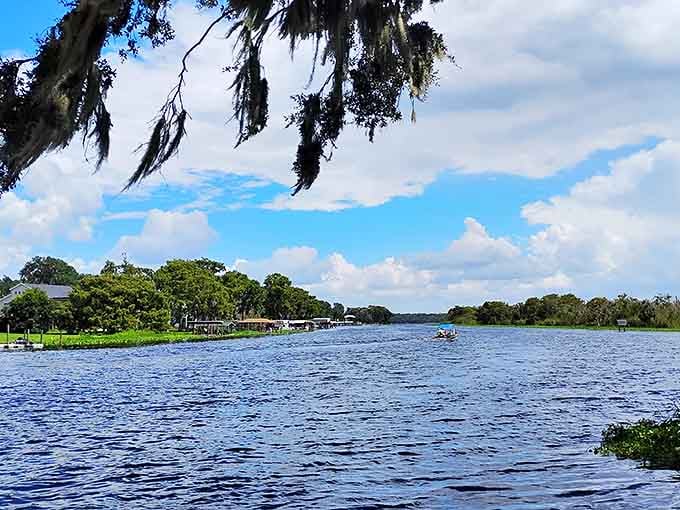 Sunlight dances across the blue waters of the St. Johns River, where kayakers paddle beneath Florida's impossibly vast sky, far from city noise.