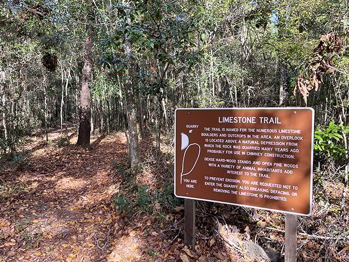 Follow the Limestone Trail where every step takes you through Florida's geological timeline &ndash; no DeLorean required for this time travel.