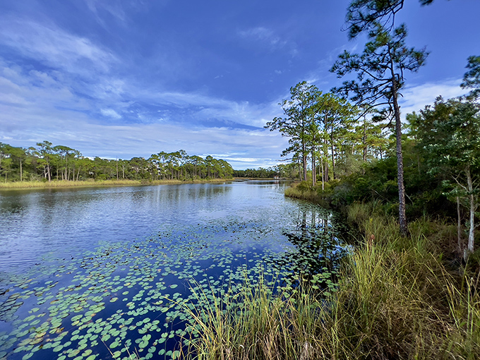 Marina Park offers a serene escape where coastal dune lakes create a rare ecosystem &ndash; nature's perfect compromise between fresh and saltwater.