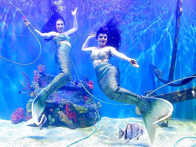 Double the magic! Two underwater performers demonstrate synchronized swimming that would make Olympic coaches drop their clipboards in amazement.