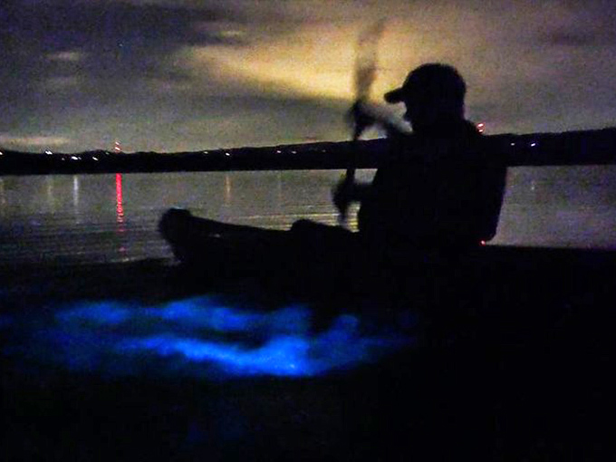Silhouetted against the night, this paddler stirs up a potion of glowing blue magic with each careful stroke.