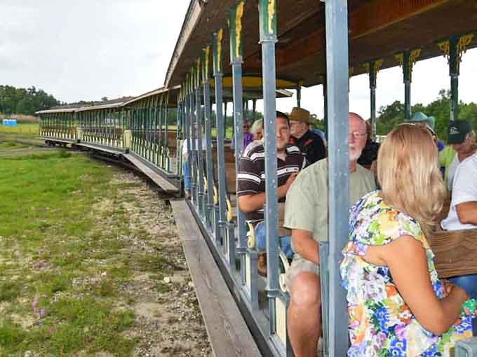 Open-air passenger cars offer a breezy ride through Florida's natural beauty, where conversations flow as freely as the passing landscape.