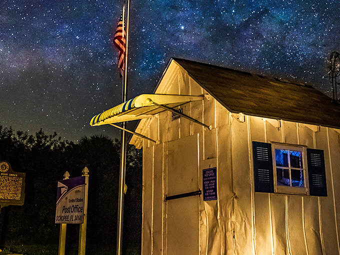 Under starry Everglades skies, the smallest post office transforms into a magical beacon of communication in the wilderness.