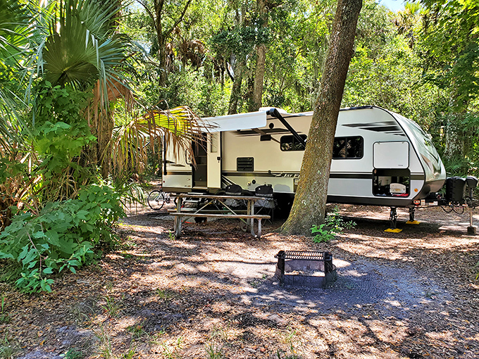Camping nirvana: Where oak canopies provide natural air conditioning and the ocean's lullaby guarantees your best sleep in months.