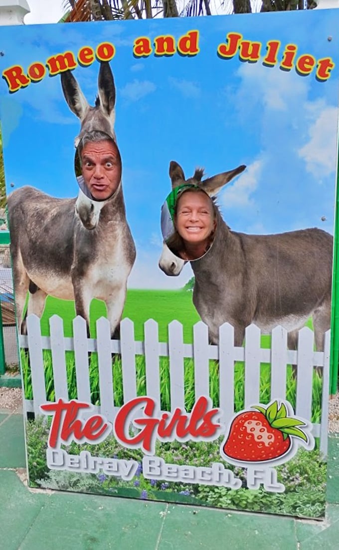 "Romeo and Juliet" offer the perfect photo opportunity&mdash;a Shakespearean romance reimagined with long ears and gentle eyes.