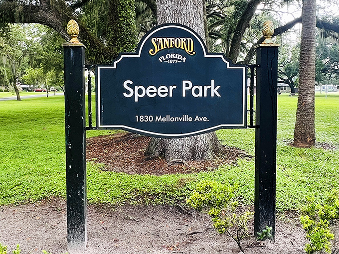 Speer Park's green expanse invites families to spread out picnic blankets and create the kind of simple memories that last a lifetime.