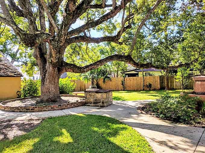 Shaded courtyards with ancient trees offer the kind of peaceful retreat that makes you forget what year it is.