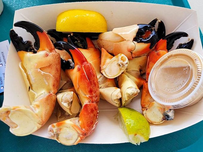 Nature's perfect design &ndash; crack into these seasonal treasures and discover why Floridians count down to stone crab season like kids await Christmas.