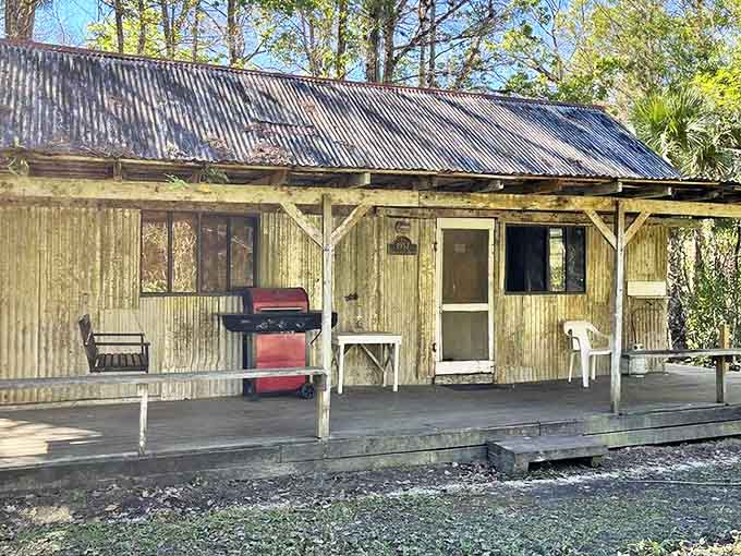 The "Fakahatchee Hilton" offers five-million-star accommodations where the amenities include symphony frog concerts and no cell service.