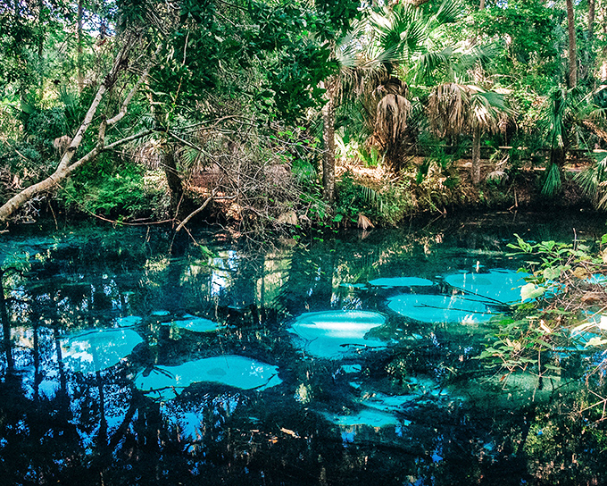 Where the water's so clear, fish look like they're floating in air rather than swimming.