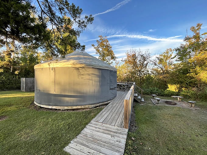 The park's yurt exterior &ndash; where "roughing it" meets "actually getting a good night's sleep" in perfect circular harmony.