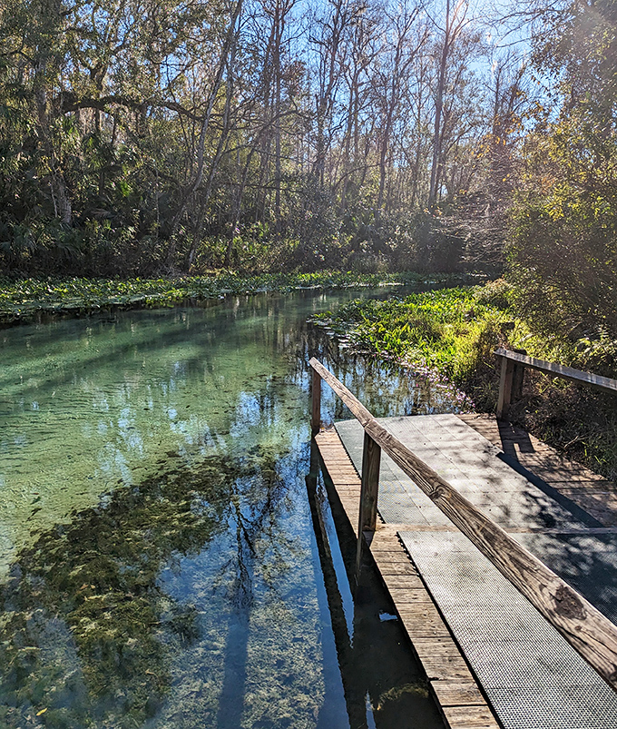 A wooden platform offers a perfect vantage point for admiring the spring's clarity. You could drop a penny and count the heads and tails before it hits bottom.