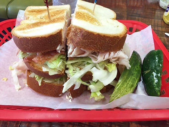 Turkey Bacon Sandwich: Layers of turkey and bacon create a savory skyscraper that requires both hands and possibly a building permit.