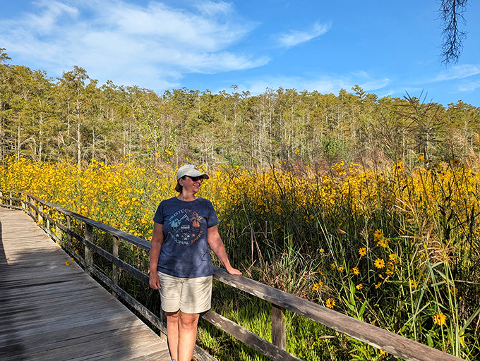 Golden wildflowers stretch toward the horizon, creating a sunlit pathway through the wetlands that would make any painter weep.