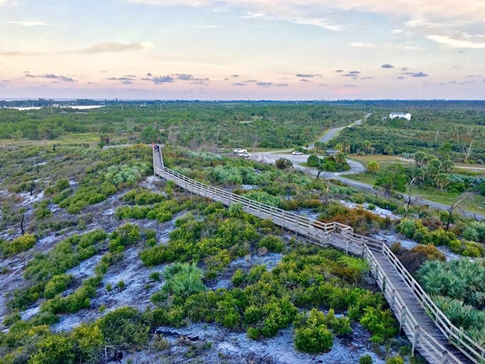 Nature's IMAX experience unfolds below, where the patchwork of wilderness and waterways tells Florida's original story better than any theme park could.