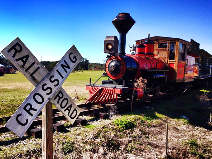 A railroad crossing sign stands sentinel beside the vintage train, a nostalgic reminder of when locomotives ruled American transportation and imagination.