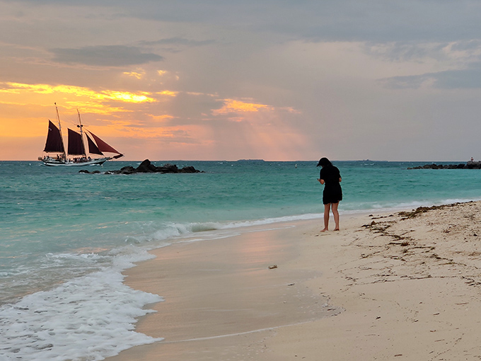 Visitor: Solitude meets sunset as the day's final light paints the shoreline gold and sailboats dance on the horizon.