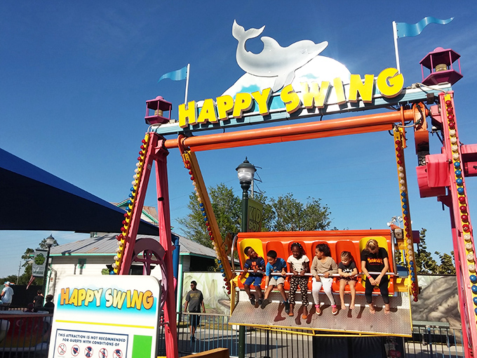 Metal clinks, kids laughing, hearts thumping, a wholesome thrill with no remote control required.