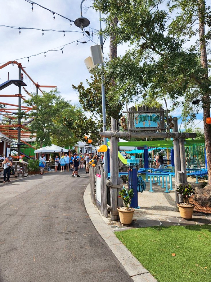 The Adventure Zone entrance beckons both kids and adults who secretly want to act like kids again. Your inner eight-year-old is already reaching for your wallet.