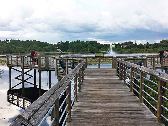 When the fountain puts on its daily show, even the most jaded visitors stop scrolling their phones to watch.
